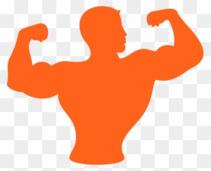 Build Muscle - Muscle - Free Transparent PNG Clipart Images Download