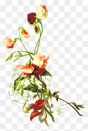 Flower Leaf Clip Art - Cartoon Pictures Of Leaf - Free Transparent PNG ...