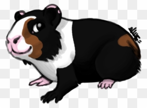 Guinea Pig Clipart, Transparent PNG Clipart Images Free Download ...