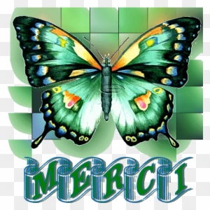 Tubes Papillons Plus Plus - Animated Moving Images Of Butterfly - Free ...