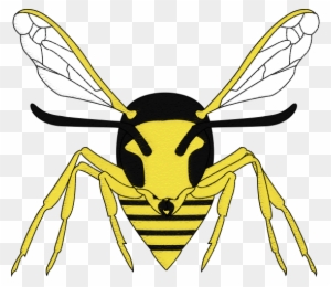1954 Wasps Logo By Verasthebrujah - Hornet - Free Transparent PNG ...