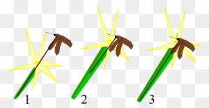 Coevolution Moth And Orchid - Free Transparent PNG Clipart Images Download