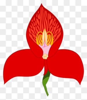 Western Province Rugby Logo - Free Transparent PNG Clipart Images Download