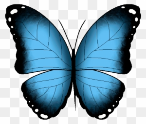 Find, Make For Butterfly Animated Gif Transparent 110yll - Gif - Full ...