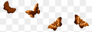 Butterfly Divider Gif - Free Transparent PNG Clipart Images Download