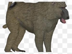 Baboon Png Transparent Images - Transparency - Free Transparent PNG ...