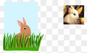 Rabbit In Grass - Rabbit Eating Grass Cartoon - Free Transparent PNG ...