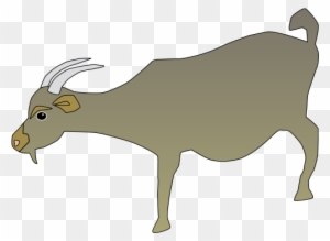 Ian Symbol Capra Aegagrus Hircus - Livestock - Free Transparent PNG ...