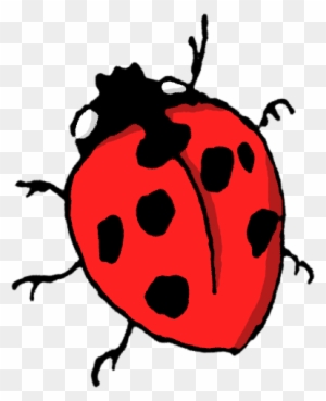 Ladybug Insect Animal Cartoon Bug Beetle L - Ladybug Clipart ...