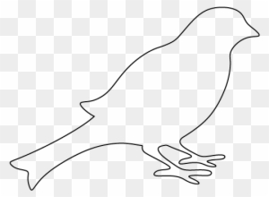 Greatest Bird Patterns To Trace Pattern Use The Printable - Line Art ...