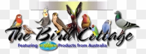 Vetafarm Products Bird Medications Bird Supplies Medicine - Liquid ...