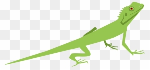 Green Lizard Clip Art, Transparent PNG Clipart Images Free Download ...