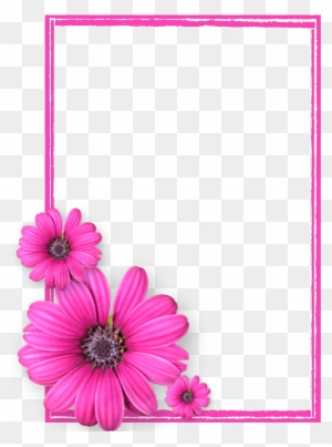 Transparent Soft Pink Flowers Frame - Pink Flower Frame Png - Full Size ...