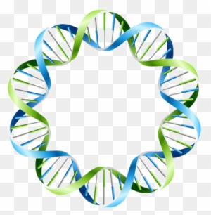 Sign-up For Free - Dna Circle - Free Transparent PNG Clipart Images ...