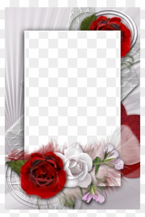 Transparent Romantic Frame With White And Red Rose - Red Rose Frame ...