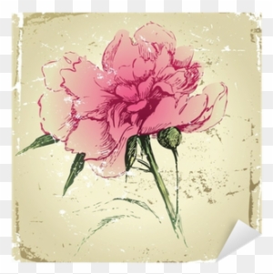 Retro-styled Hand Drawn Peony Flower Sticker • Pixers® - Peony - Free ...