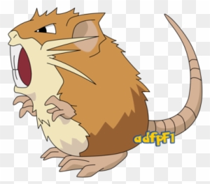 020 Raticate By Adfpf1 - Pokemon Raticate - Free Transparent PNG ...