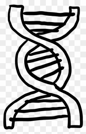 Dna Drawing Png - Dna Line Drawing - Free Transparent PNG Clipart ...