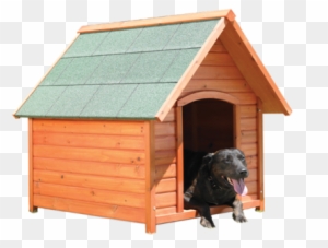 Country Mile Wooden Dog Kennel Large - Kennel - Free Transparent PNG ...