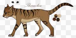 Shrewpaw Thunderclan Warriors Warrior Cats Fernsong22 - Warrior Cats ...