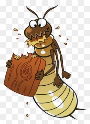 Wood Destroying Insects - Insect Wood Png - Free Transparent PNG ...