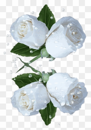 Beautiful Animated Flowers Clipart - Damask Rose Clipart - Free ...