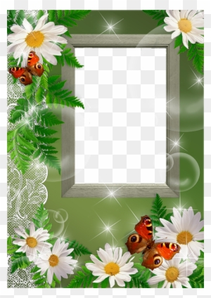 Frame Nice - Free Transparent PNG Clipart Images Download