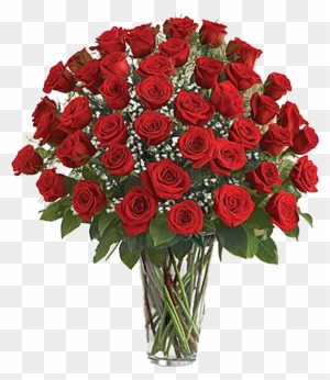 48 Premium Roses Arrangement - 4 Dozen Red Roses - Free Transparent PNG ...