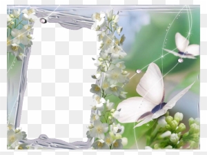 Flowerspng - Frame - Beautiful Pictures Of Happy Weekend - Free ...