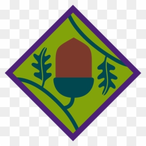 Young - Scout Young Leader Badges - Free Transparent PNG Clipart Images ...