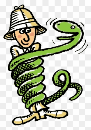 Anaconda Clipart Binatang - Green Anaconda Snake Drawing - Free ...