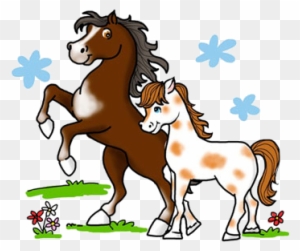 Pferd Fohlen - Pferd Fohlen - Free Transparent PNG Clipart Images Download