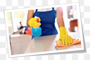 At Distinct Cleaning Is One Of The Top Quality Cleaning - Top Glove ...