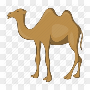 Funny Camel Pictures Clip Art - Camel Clipart - Free Transparent PNG ...