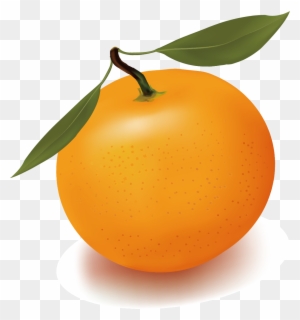 Orange Fruit Clipart