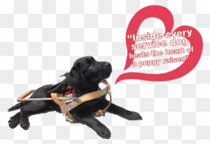 Custom Canines Service Dog Academy - Free Transparent PNG Clipart ...