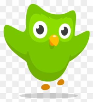 It Is A Green Owl Of An Unknown Species And Is Meant - Duolingo Icon ...