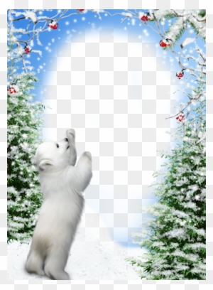 Frame Clipart Winter - Winter Borders And Frames - Free Transparent PNG ...