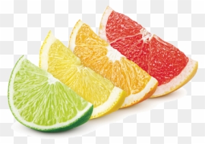 A Citrus History - Lime Lemon Orange Grapefruit - Free Transparent PNG ...