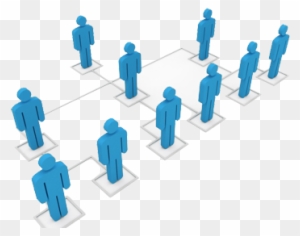 Levels Of Structural Organization Of The Human Body - Organization ...