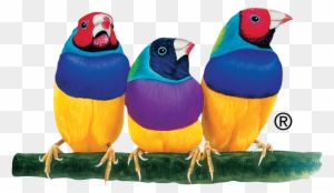 Index Register - Viewsonic Logo - Free Transparent PNG Clipart Images ...