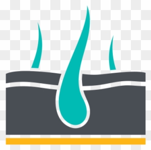 Illustration Of Skin Layers - Dermatology Logo - Free Transparent PNG ...