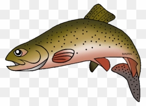 Trout Clipart - Greenback Cutthroat Trout Cartoon - Free Transparent ...