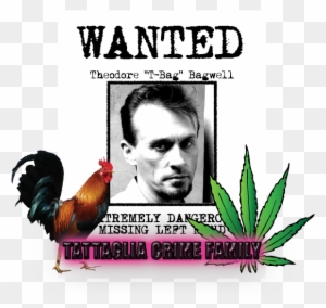 Image - Prison Break Tea Bag Meme - Free Transparent PNG Clipart Images ...