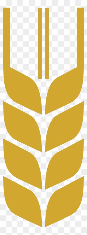 Wheat - Wheat Vector - Wheat - Full Size PNG Clipart Images Download