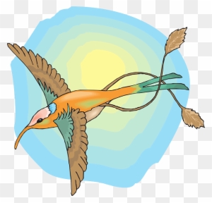 Cartoon Bird Without Feathers - Free Transparent PNG Clipart Images ...