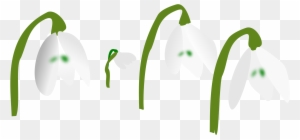 Big Image - Snowdrop - Free Transparent PNG Clipart Images Download