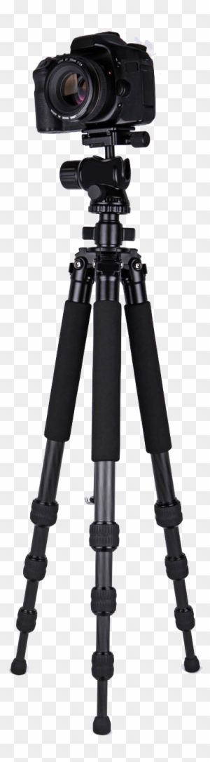 Onlinelabels Clip Art Camera On Tripod Silhouette