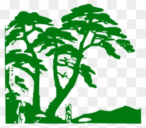 Collection Of Tree Vector Art - Rainforest Clipart - Free Transparent ...