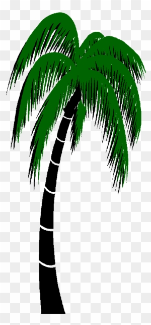 Drawn Palm Tree Anime - Anime Palm Tree Gif - Free Transparent PNG ...